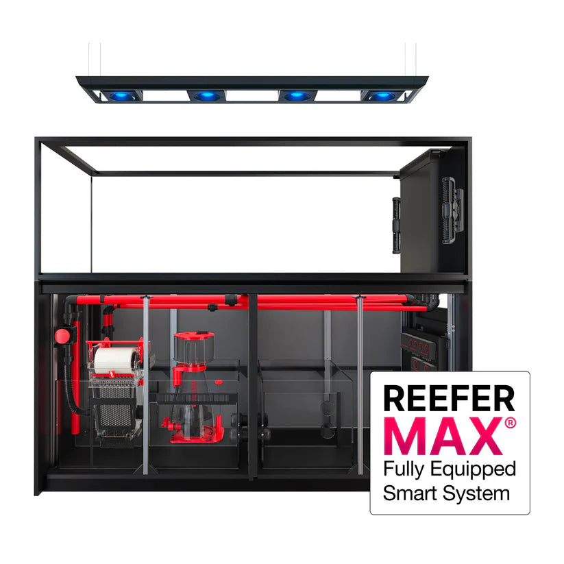 Red Sea Reefer Max G2+ Peninsula 350 Aquarium – PASS Aquatics & Reptiles